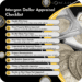 How Much is a Morgan Dollar Worth? - 2026 Morgan Silver Dollar Value Guide